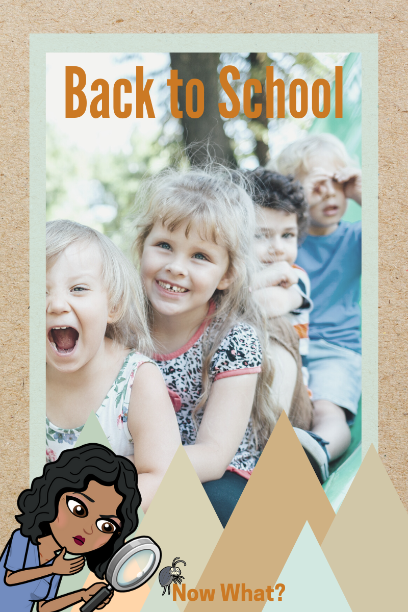 Back to School, Back to Lice? – The Louse Girl Mobile Head Lice Removal ...